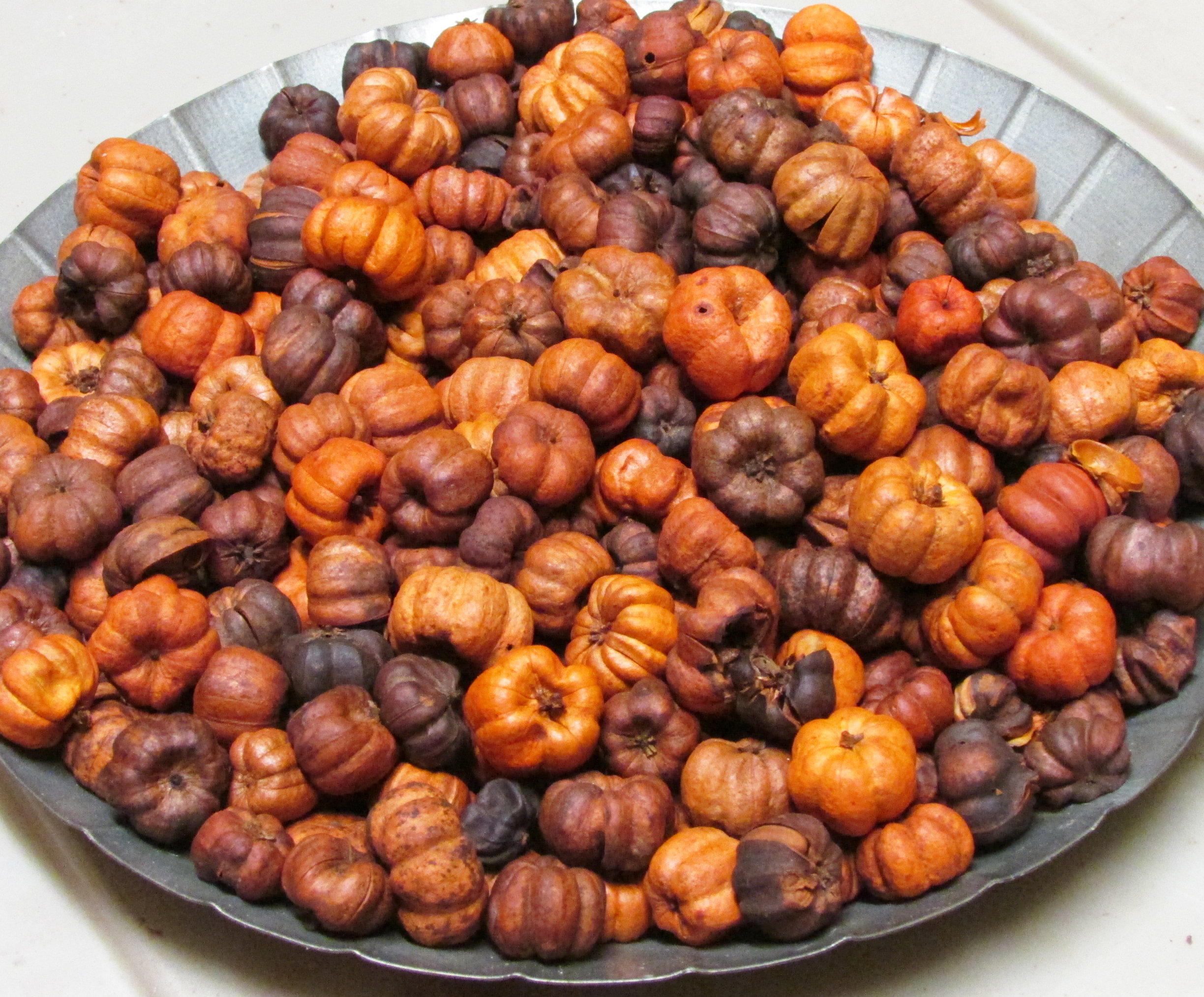 Star Hollow Candle Company Scented Putka Pods & Reviews | Wayfair