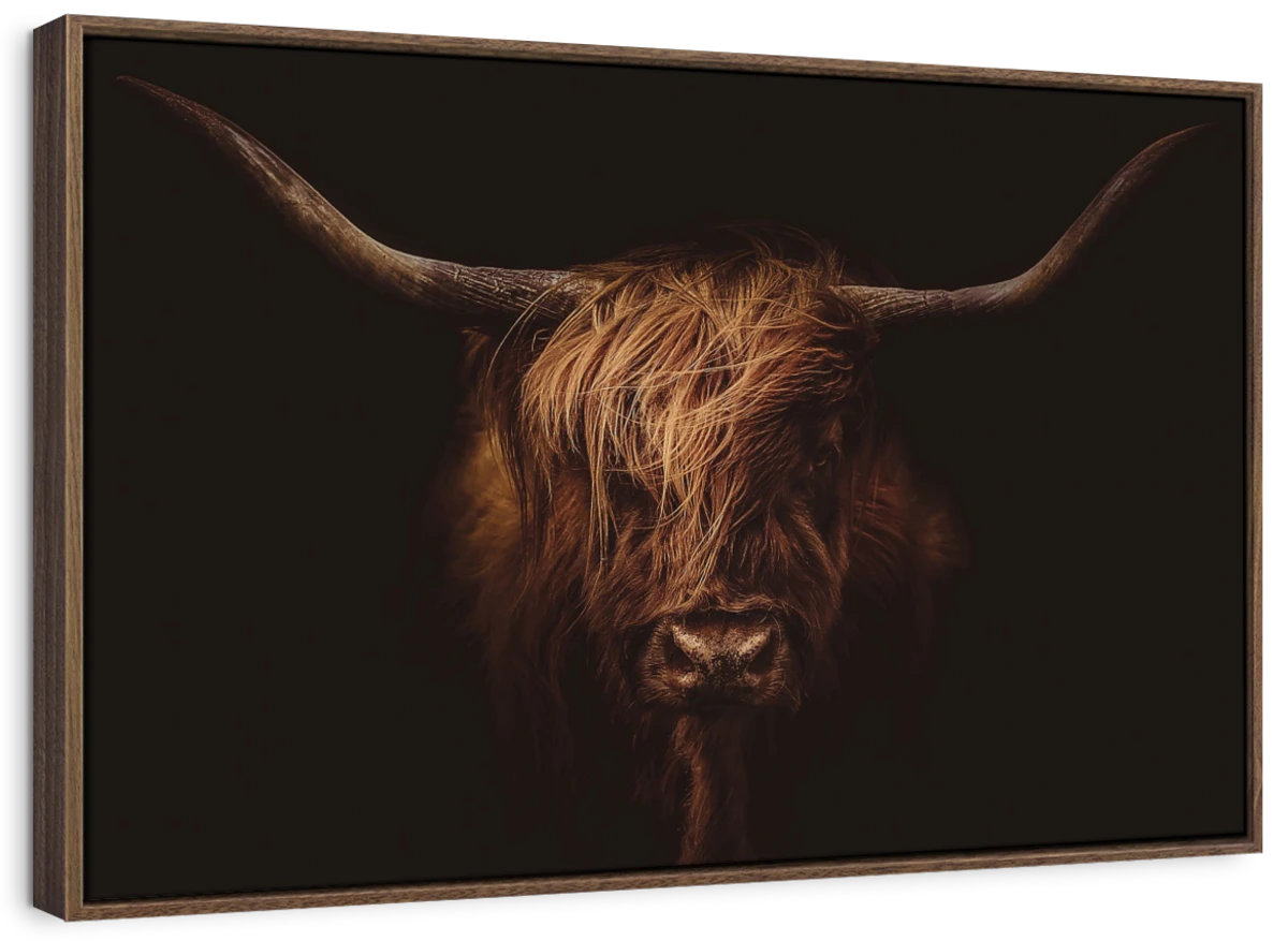 Ebern Designs Brampt Handsome Highland Cow | Wayfair