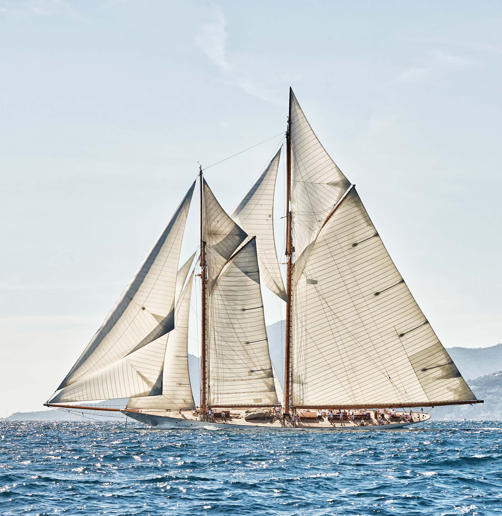 Yoffi Sailing 2 by Yaffa G - Unframed Graphic Art | Perigold