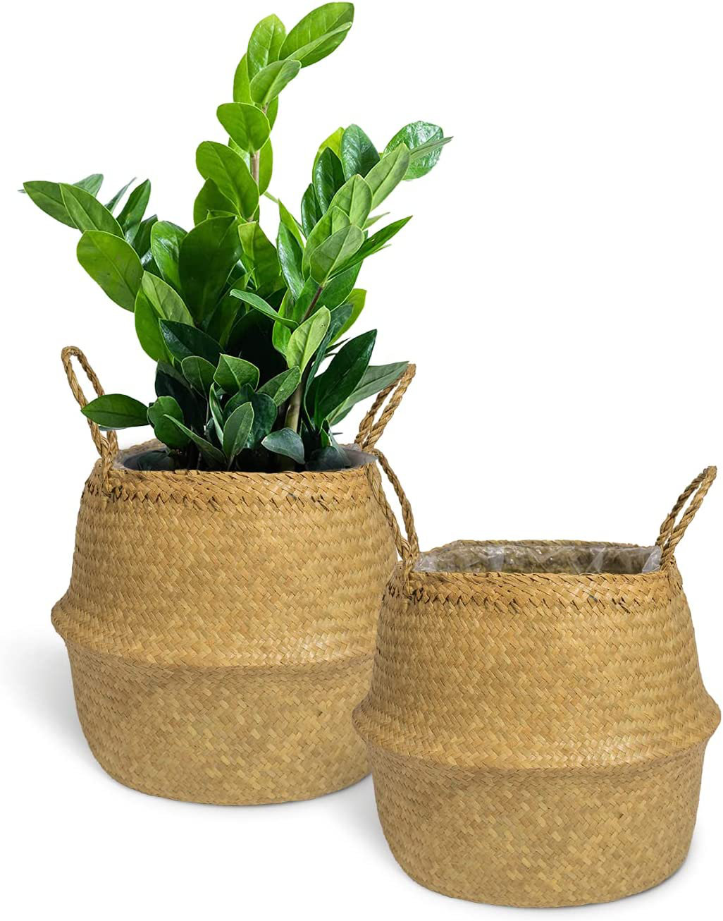 Bay Isle Home Treble Plant Stand - Wayfair Canada