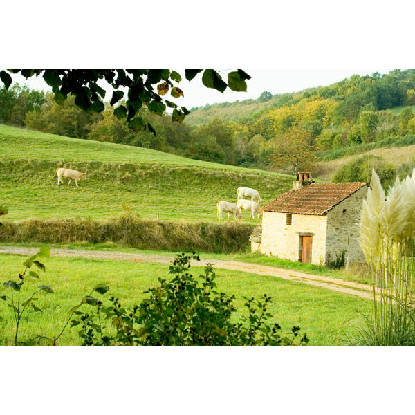 Ebern Designs Borka Bucolic Landscape On Canvas Print | Wayfair