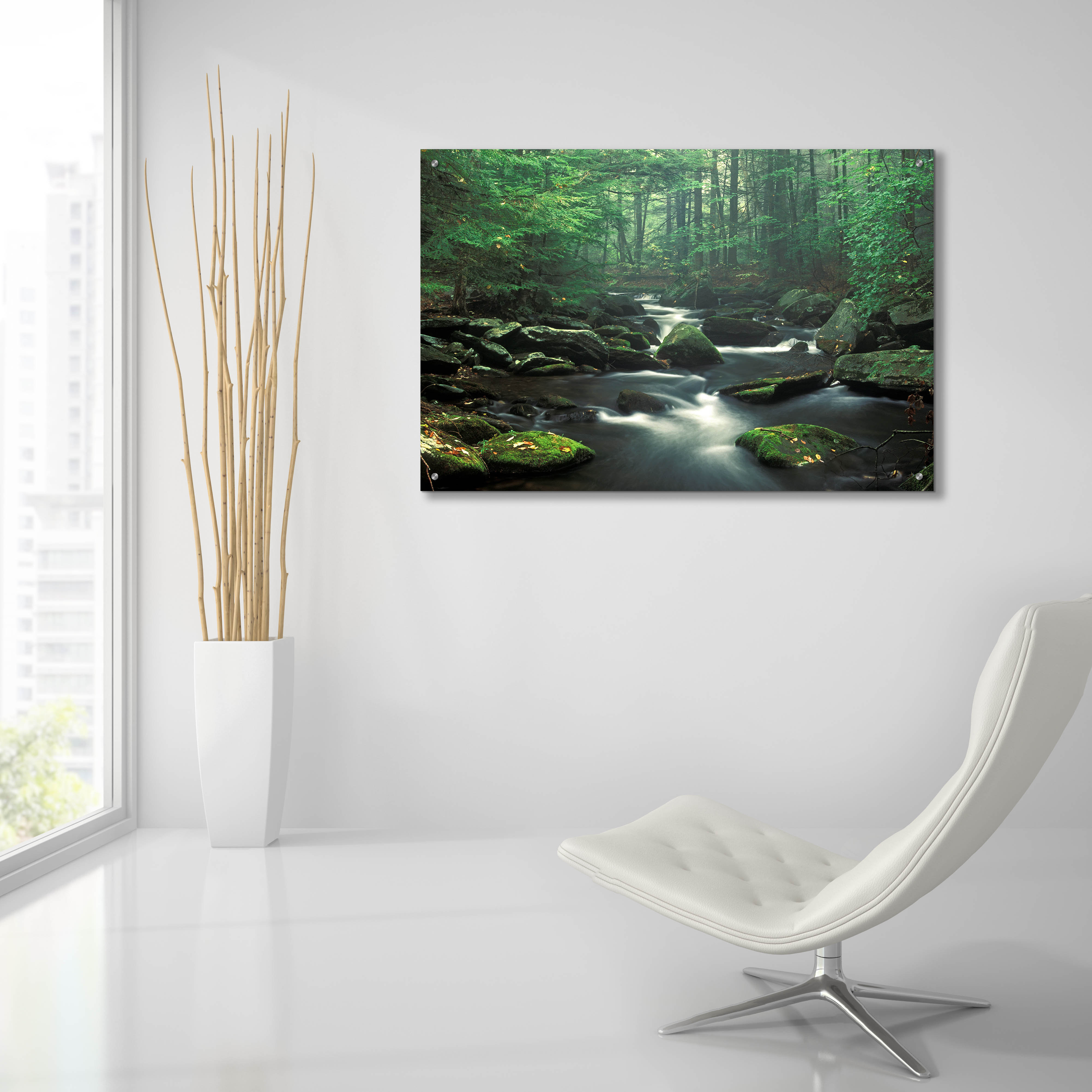 Millwood Pines Sawmill River' by Patrick Zephyr Acrylic Glass Wall Art ...
