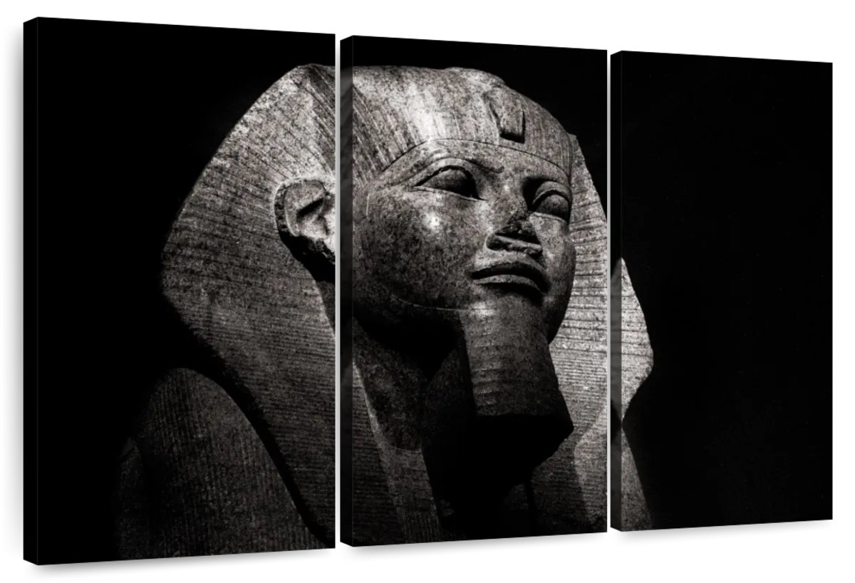 Ebern Designs Brampt Closeup Black Sphinx | Wayfair