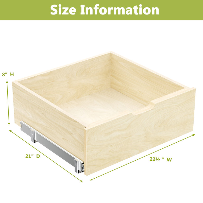 Rebrilliant Pull Out Cabinet Organizer With Full Extension Rail Slides ...