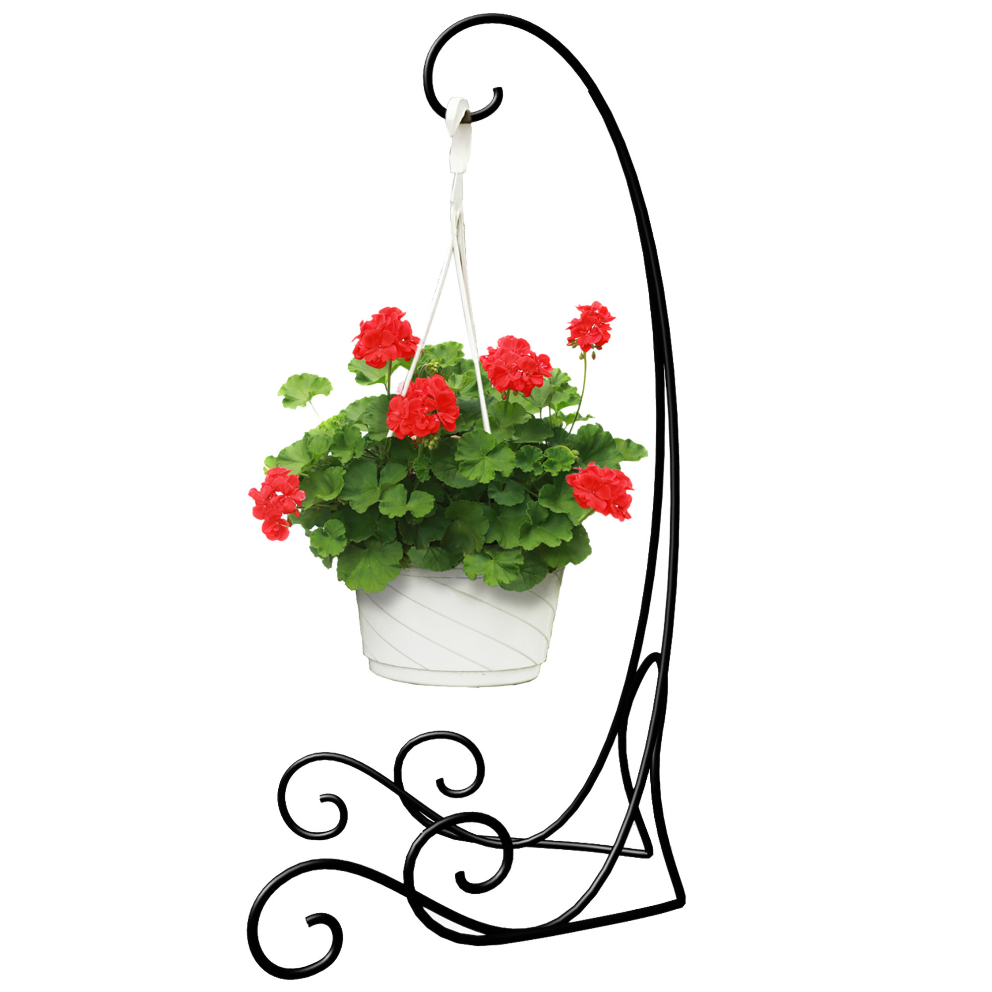 Plastec Hook & Reviews | Wayfair