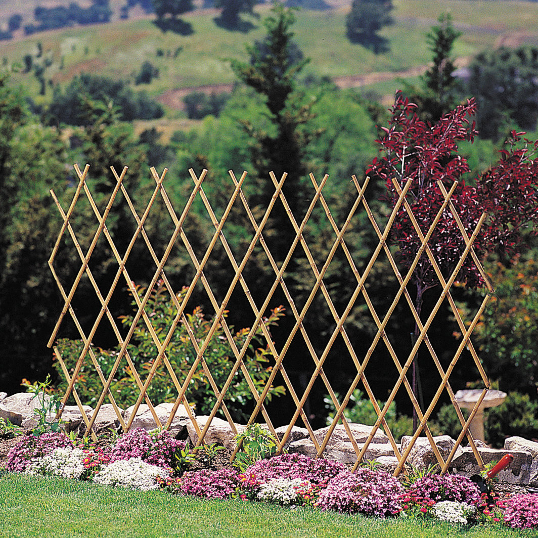 BondManufacturingCo Wood Expanding Trellis & Reviews | Wayfair