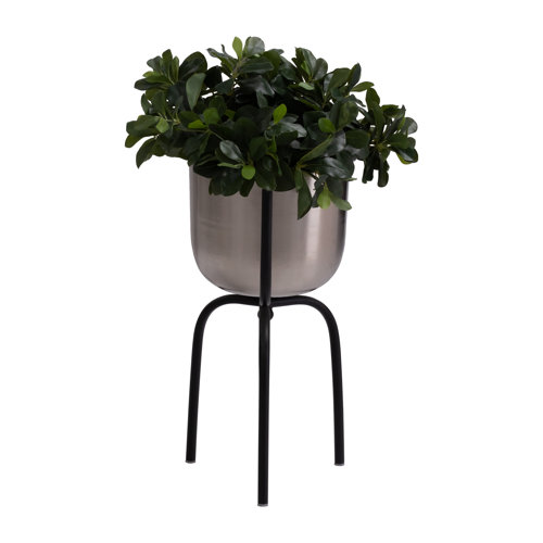 Silver Planters You'll Love | Wayfair