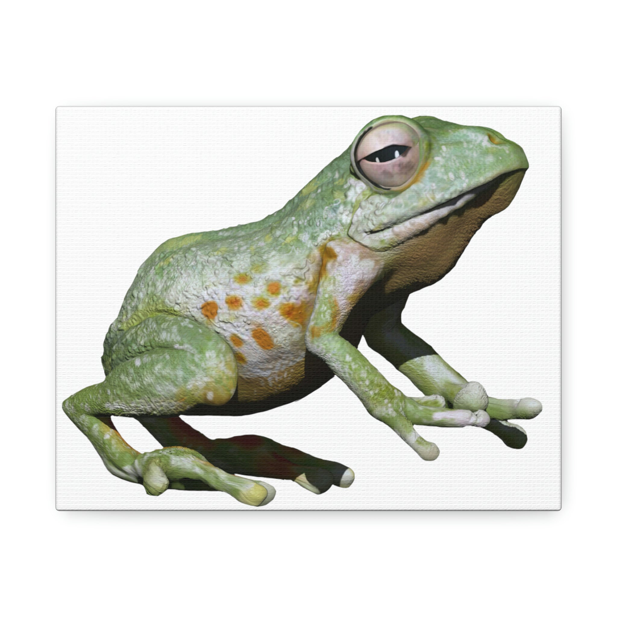 Dovecove Green Frog Stretched - Unframed Illustration on Canvas | Wayfair