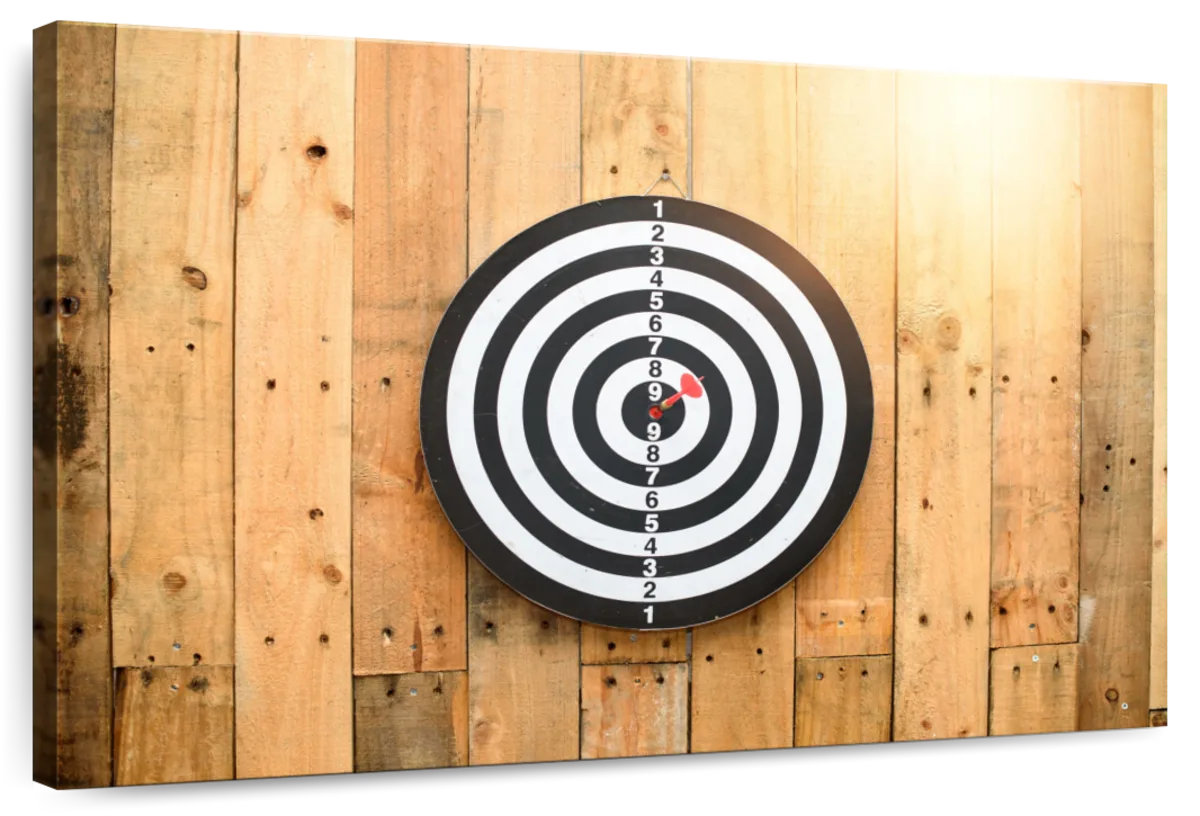 Elephant Stock Darts Game Bullseye | Wayfair