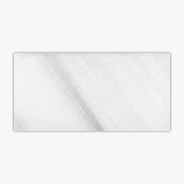 Direct Stone Source Biarritz 16'' W x 32'' L Marble Singular Tile | Wayfair