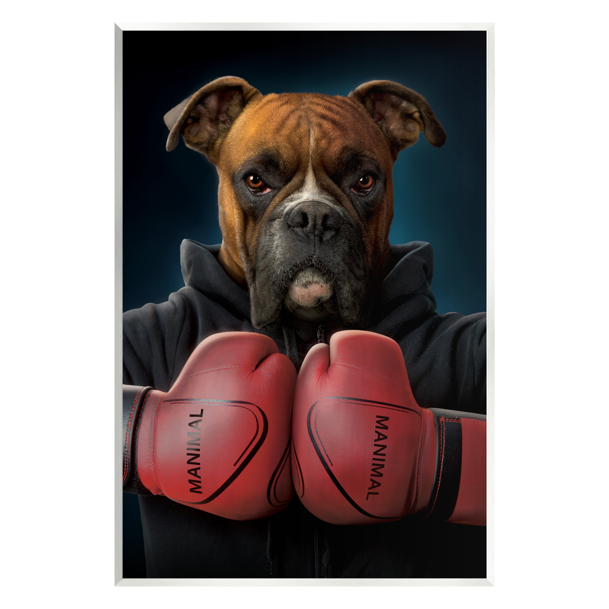 Stupell Industries Az-214-Framed Boxing Boxer Dog On Canvas by Vincent ...