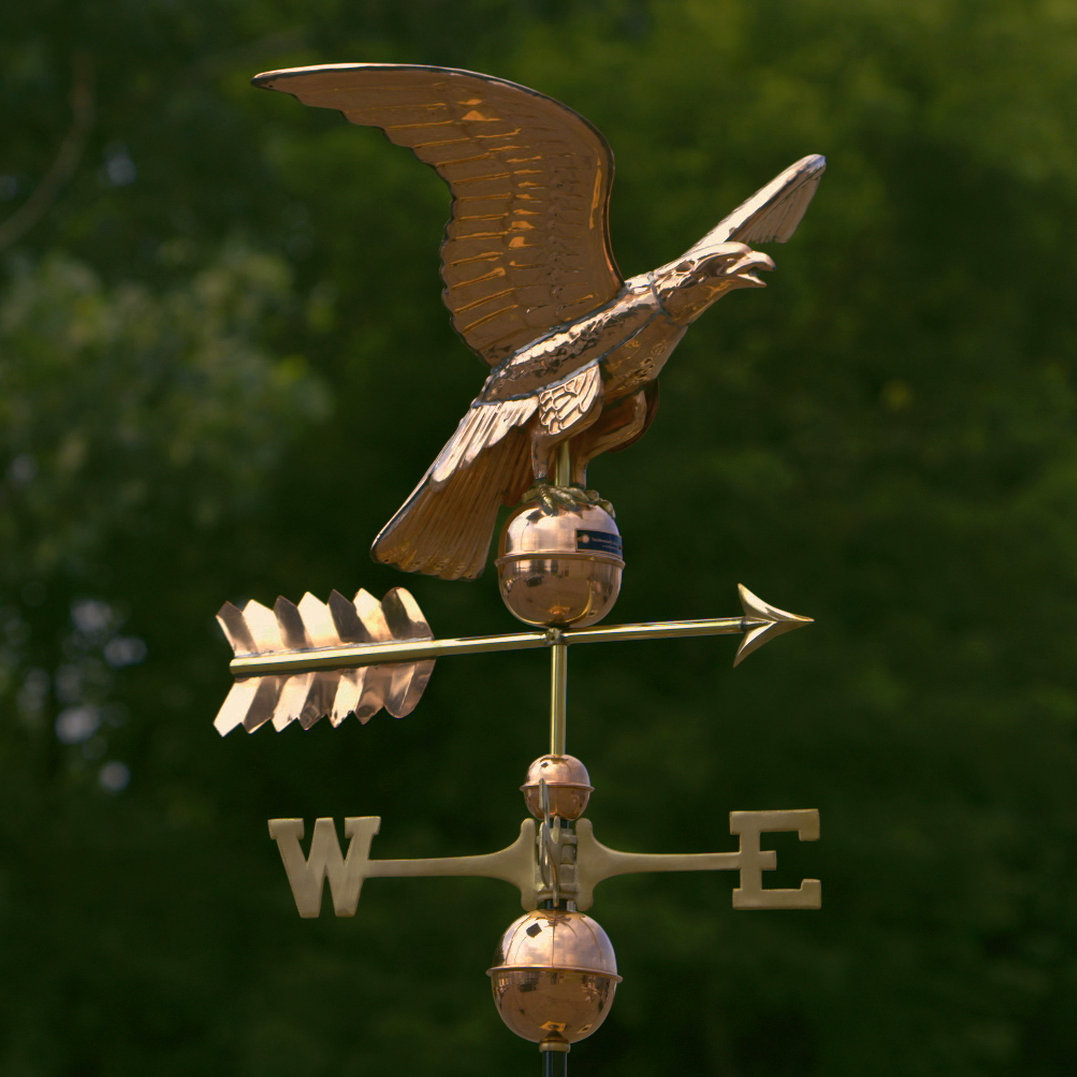 Alcott Hill Krum Eagle Weathervane & Reviews - Wayfair Canada
