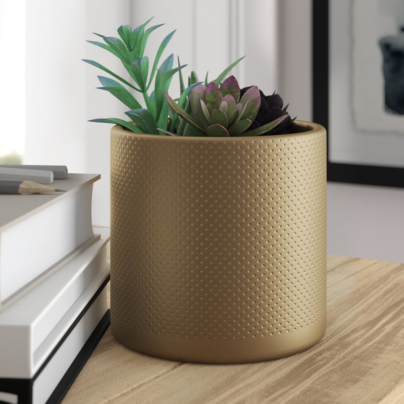 Lark Manor™ Martina Ceramic Pot Planter & Reviews | Wayfair