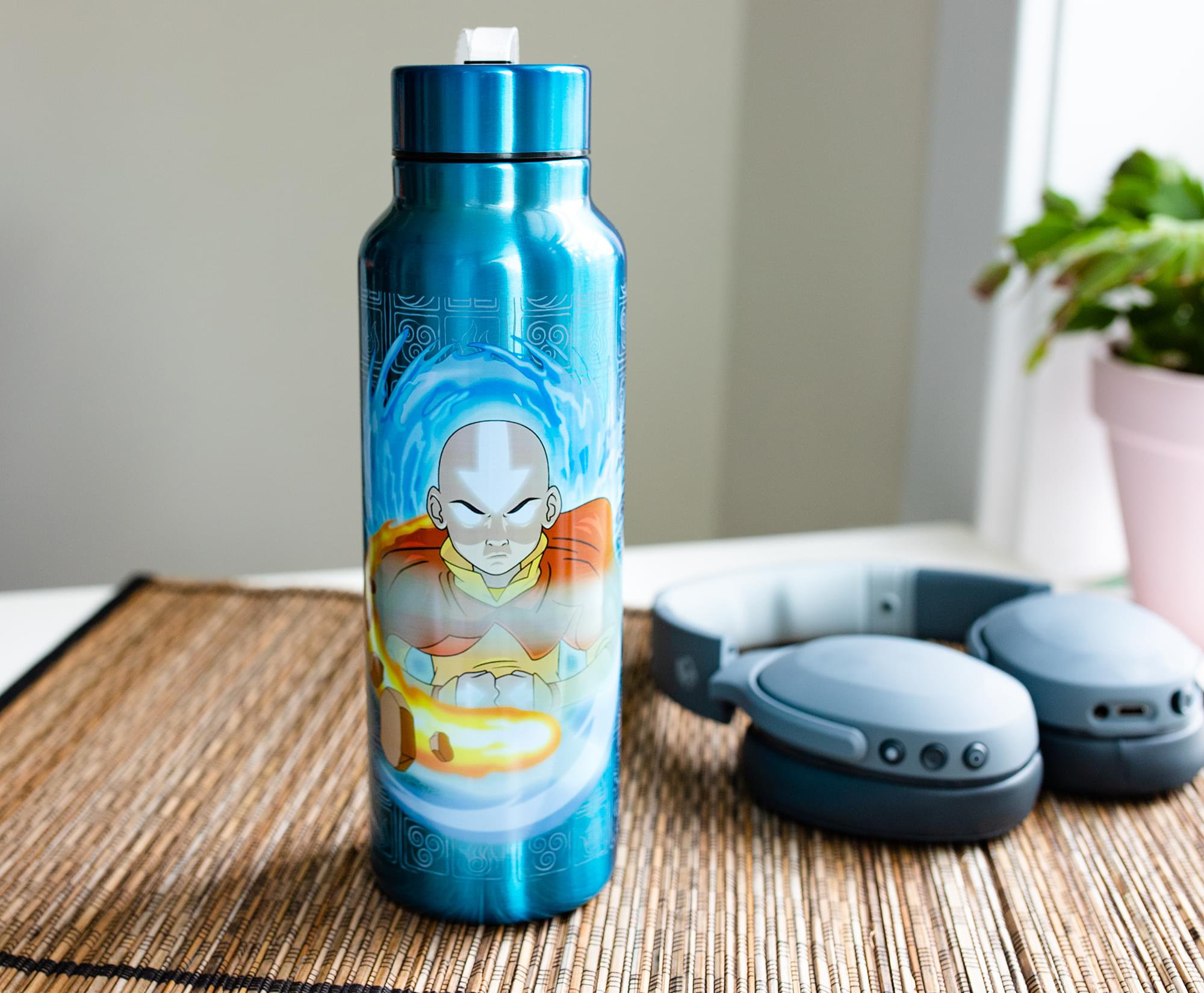 Silver Buffalo Avatar 27 Oz. Stainless Steel Water Bottle - Wayfair Canada