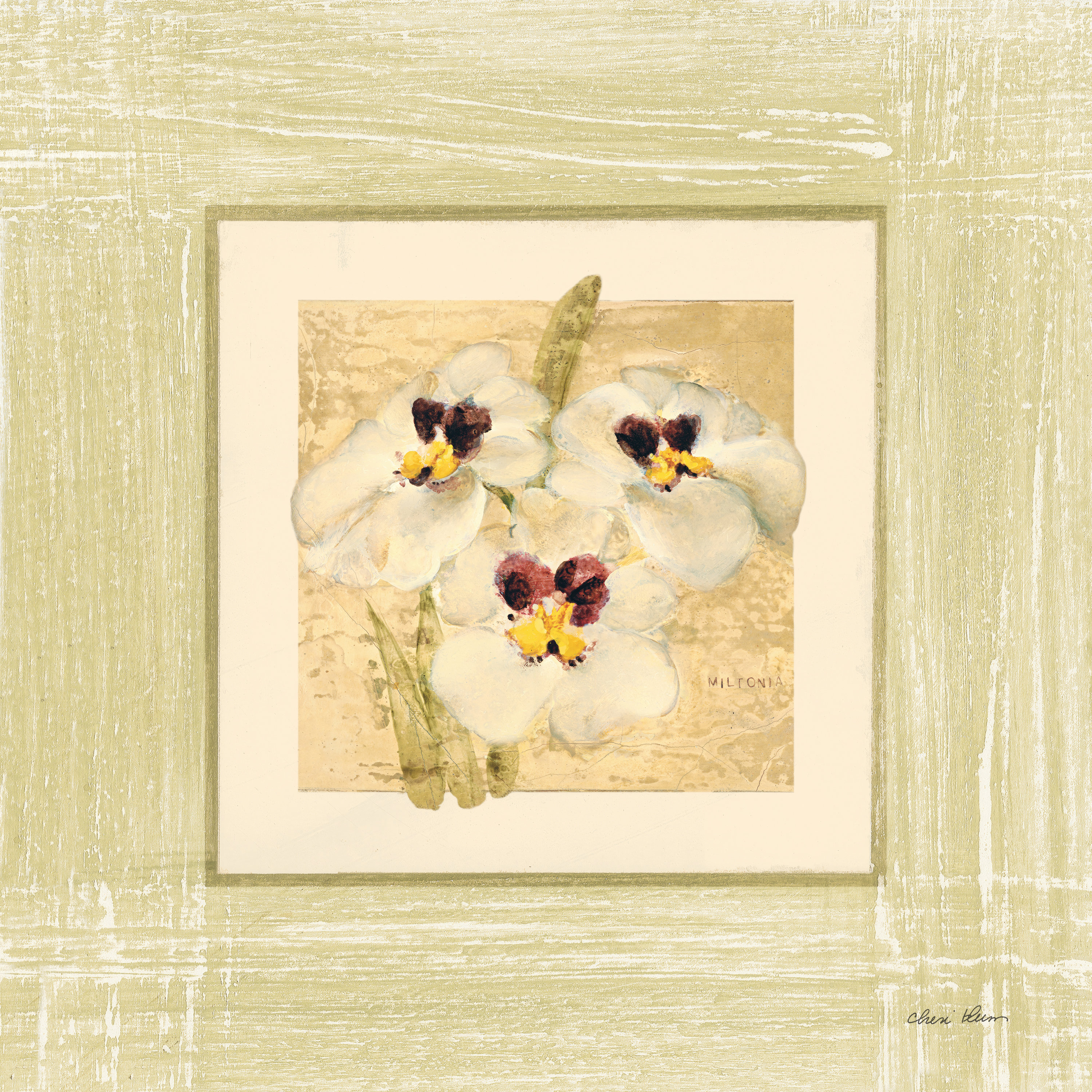 Winston Porter Exotic Floral I by Cheri Blum Print | Wayfair