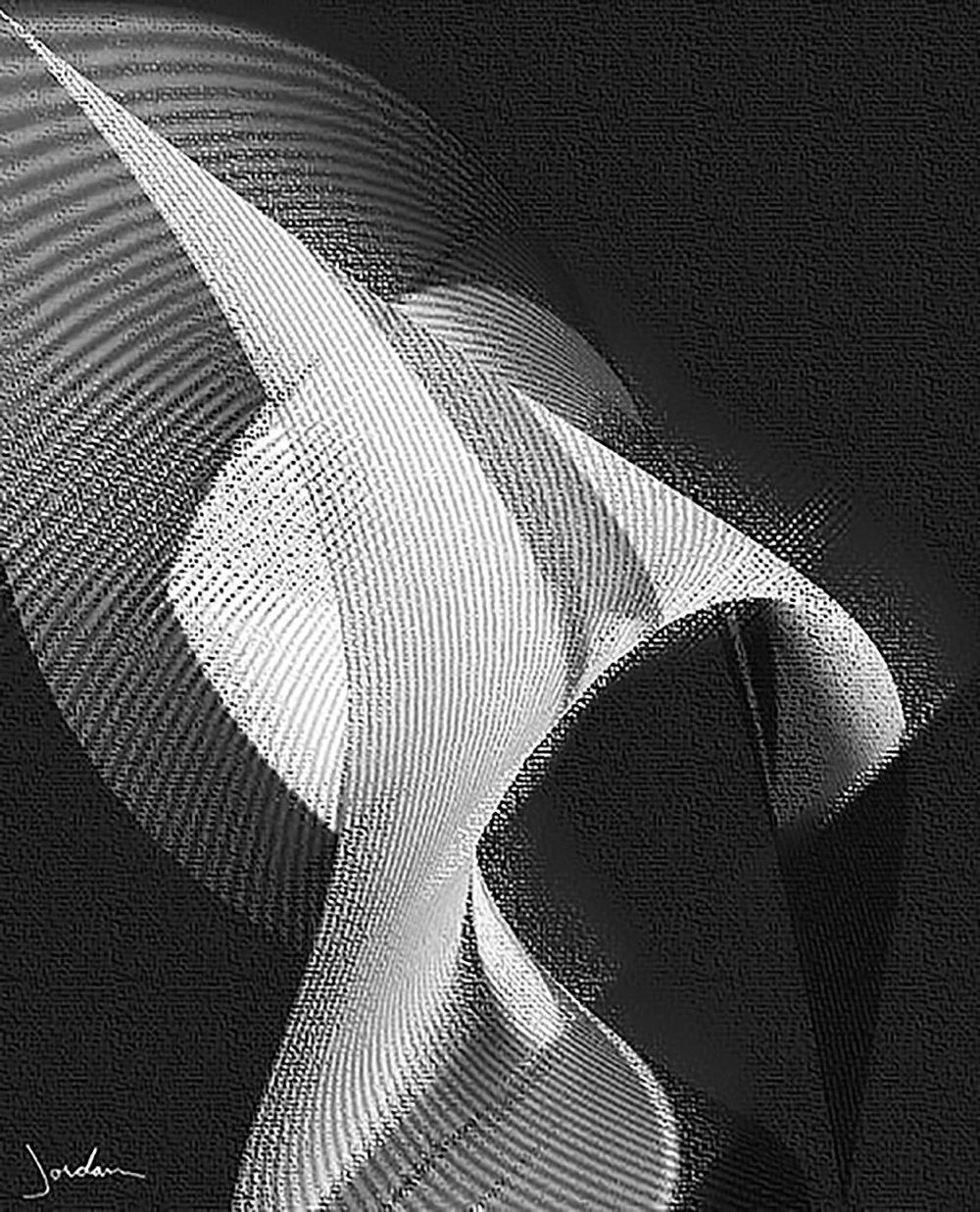 Jordan Gallery of Cambria Reaching Towards the Sun by Kent Wilcoxson ...