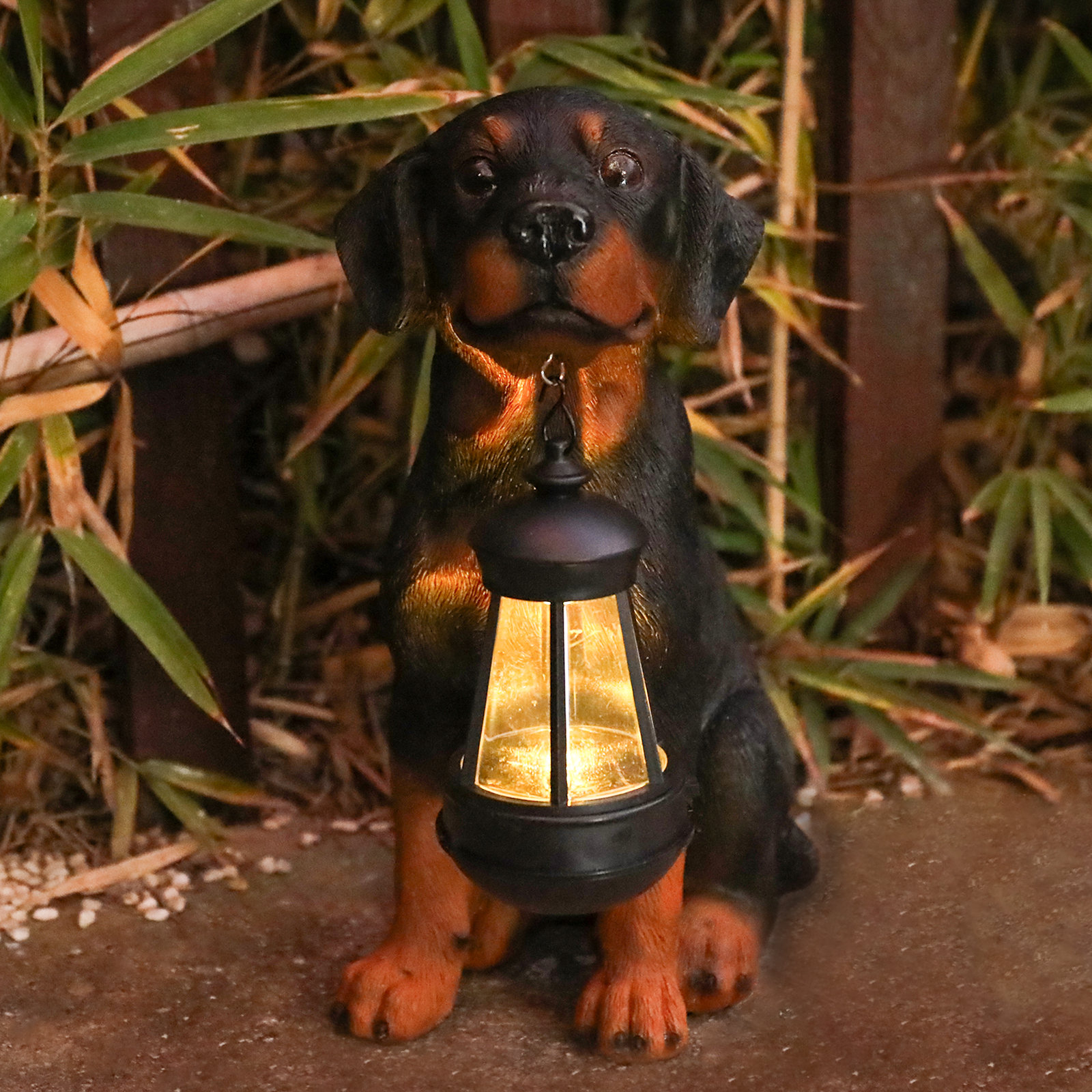 Arlmont & Co. Resin Dog Solar Lights, Outdoor Indoor Rottweiler Dog ...