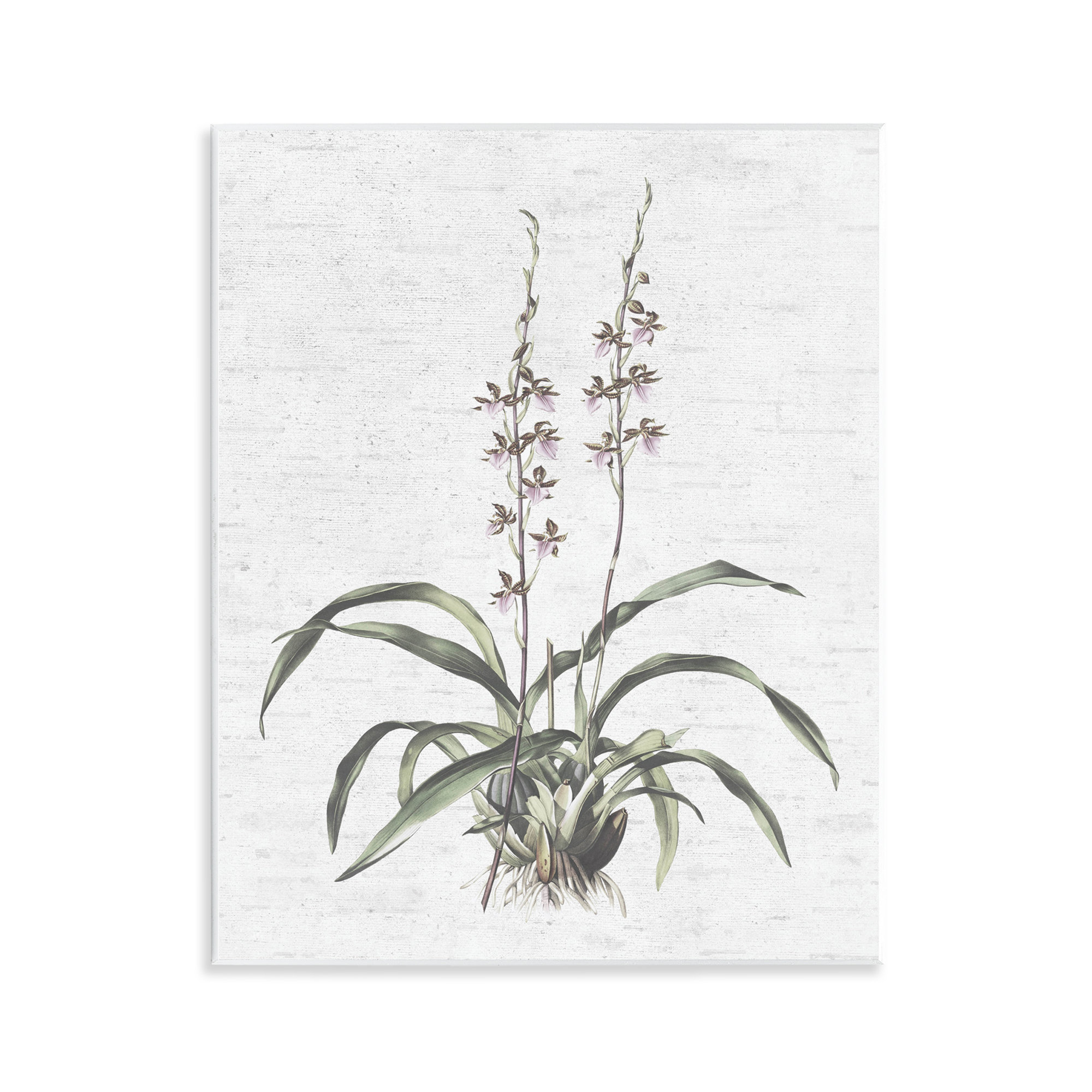 Stupell Industries Blooming Herb Bud Wall Plaque Art by Lettered and ...