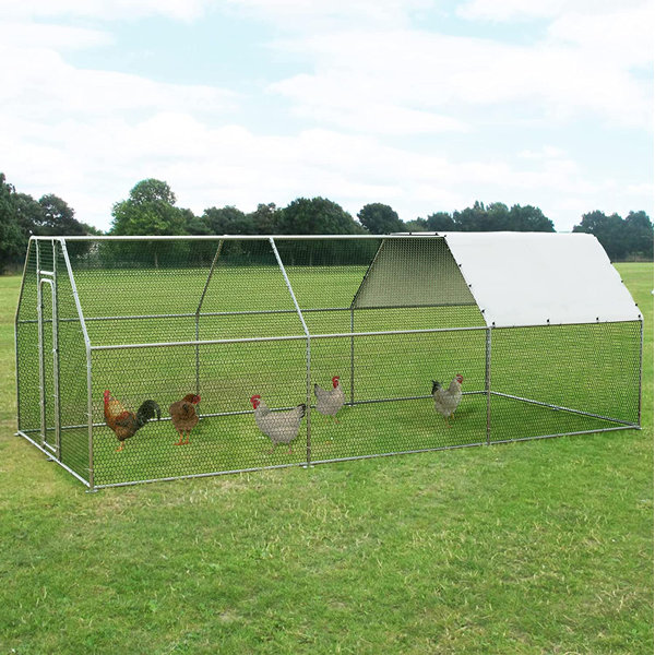 Chicken Runs You'll Love | Wayfair