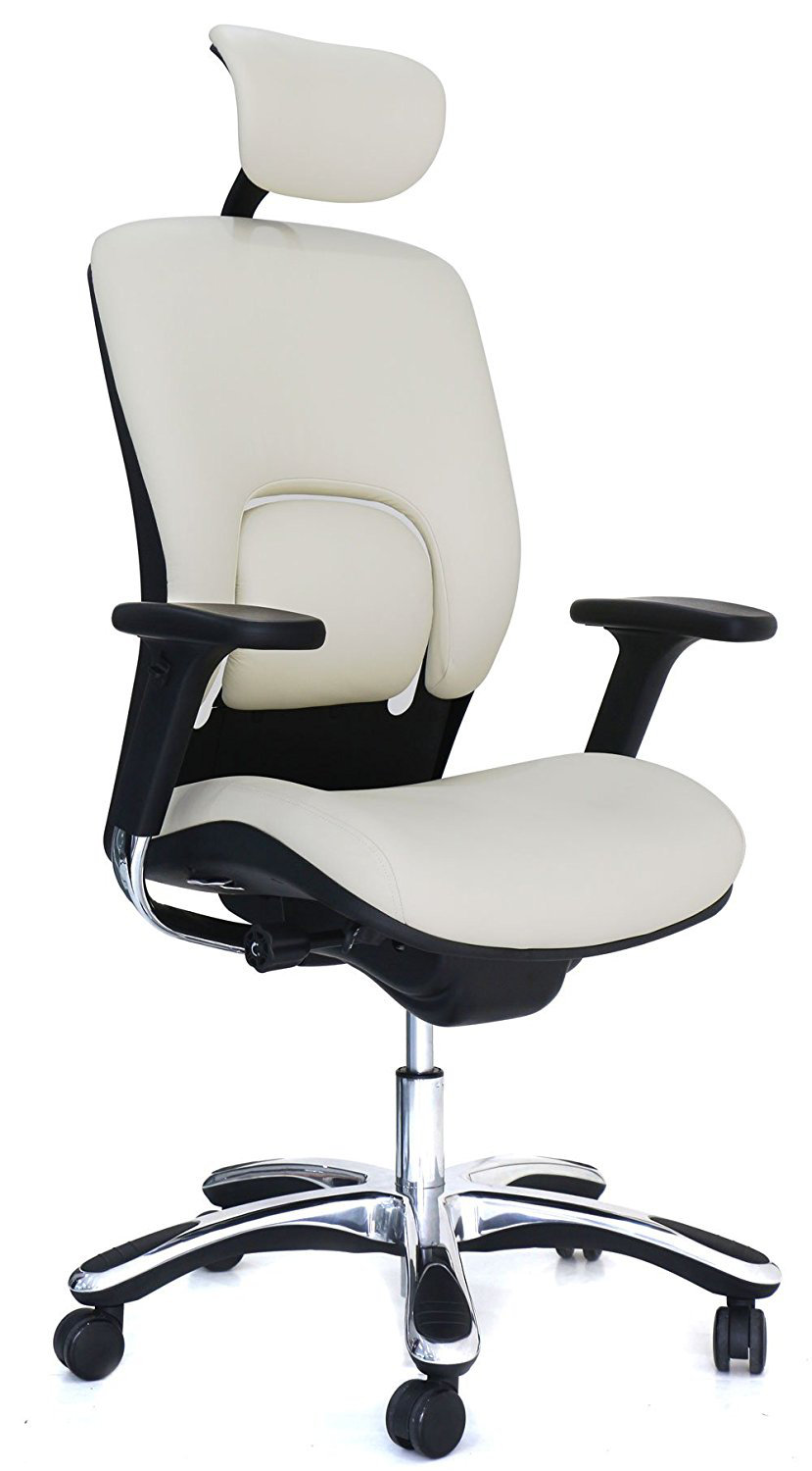 Symple Stuff Genuine Leather Task Chair & Reviews | Wayfair