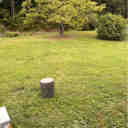 Millwood Pines Westman Faux Oak Stump Cover Statue & Reviews | Wayfair