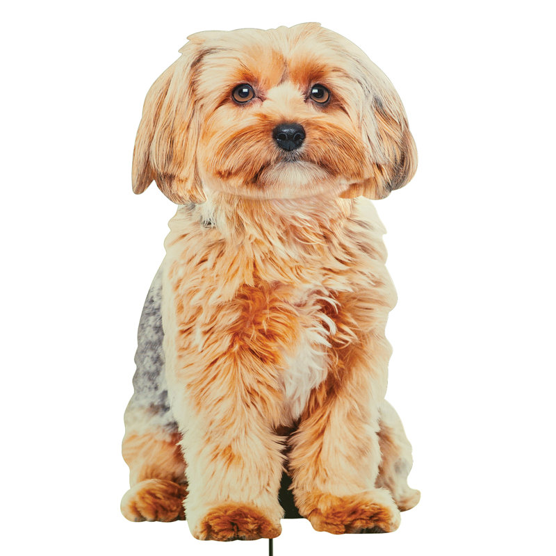 Lark Manor™ Realistic Lhasa Apso Dog Outdoor Garden Stake | Wayfair