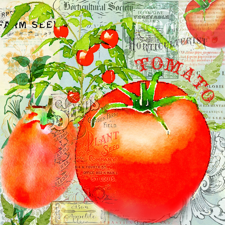 Buy Art For Less 'Green Grocer Tomatoes' by Jill Meyer Graphic Art on ...