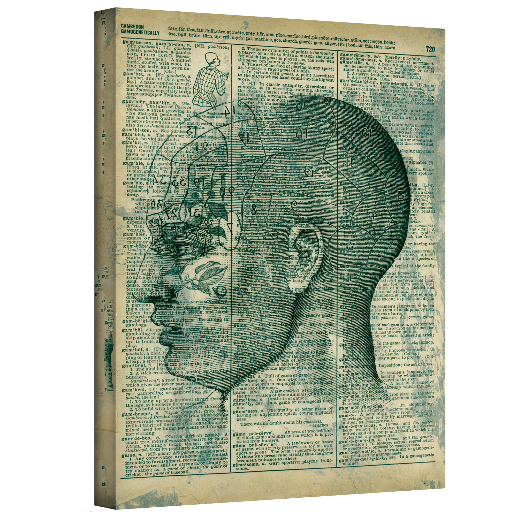 ArtWall 'Right Brain Thinker' by Elena Ray Graphic Art on Wrapped ...