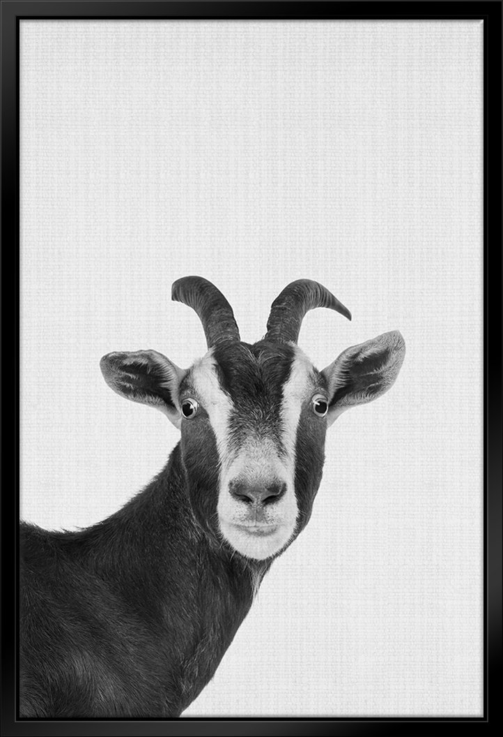 ATX Art Group LLC Surprised Goat by Stanley Print House - on - Wayfair ...