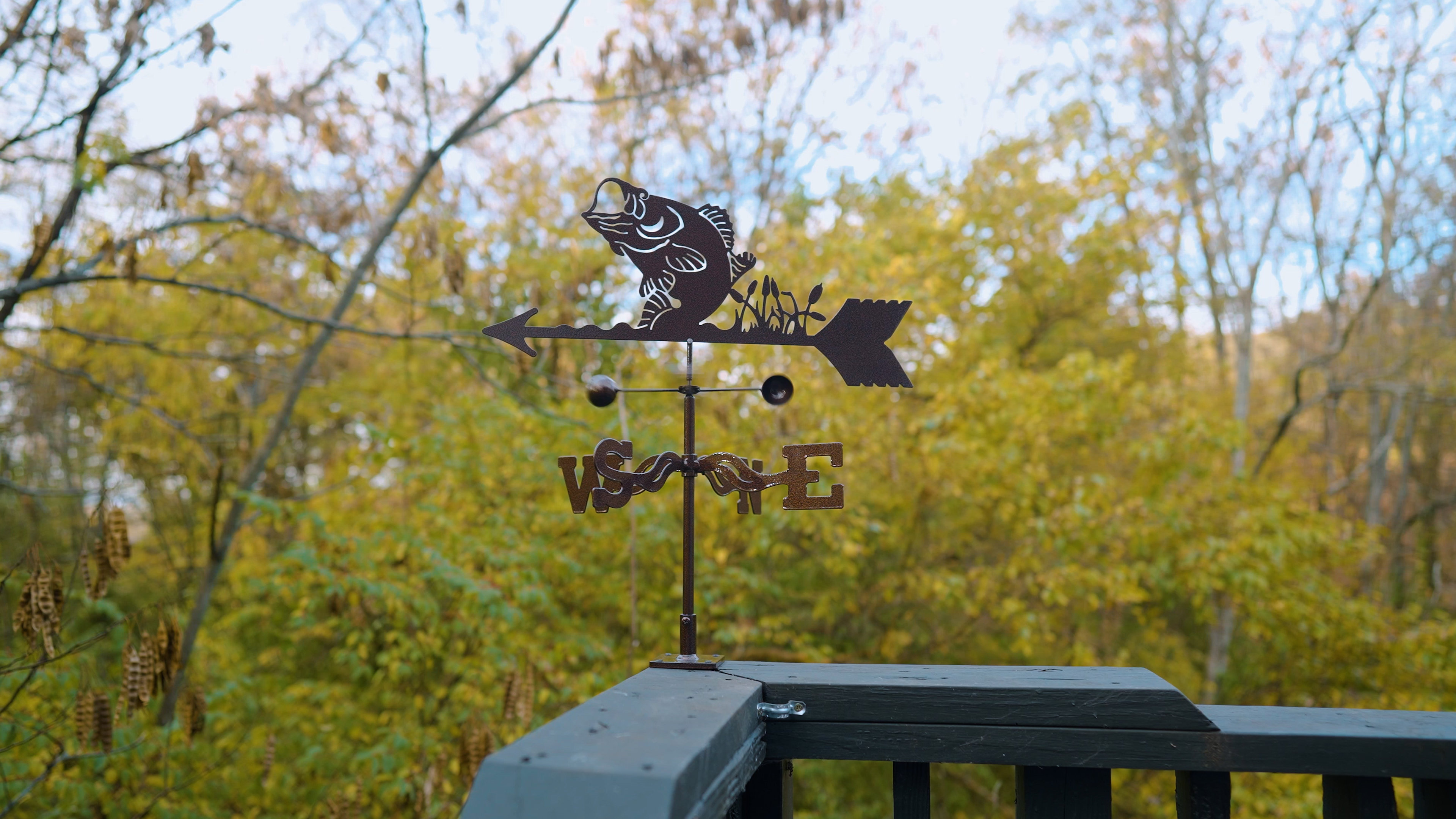 Highland Dunes Pina Bass Fish Weathervane & Reviews - Wayfair Canada