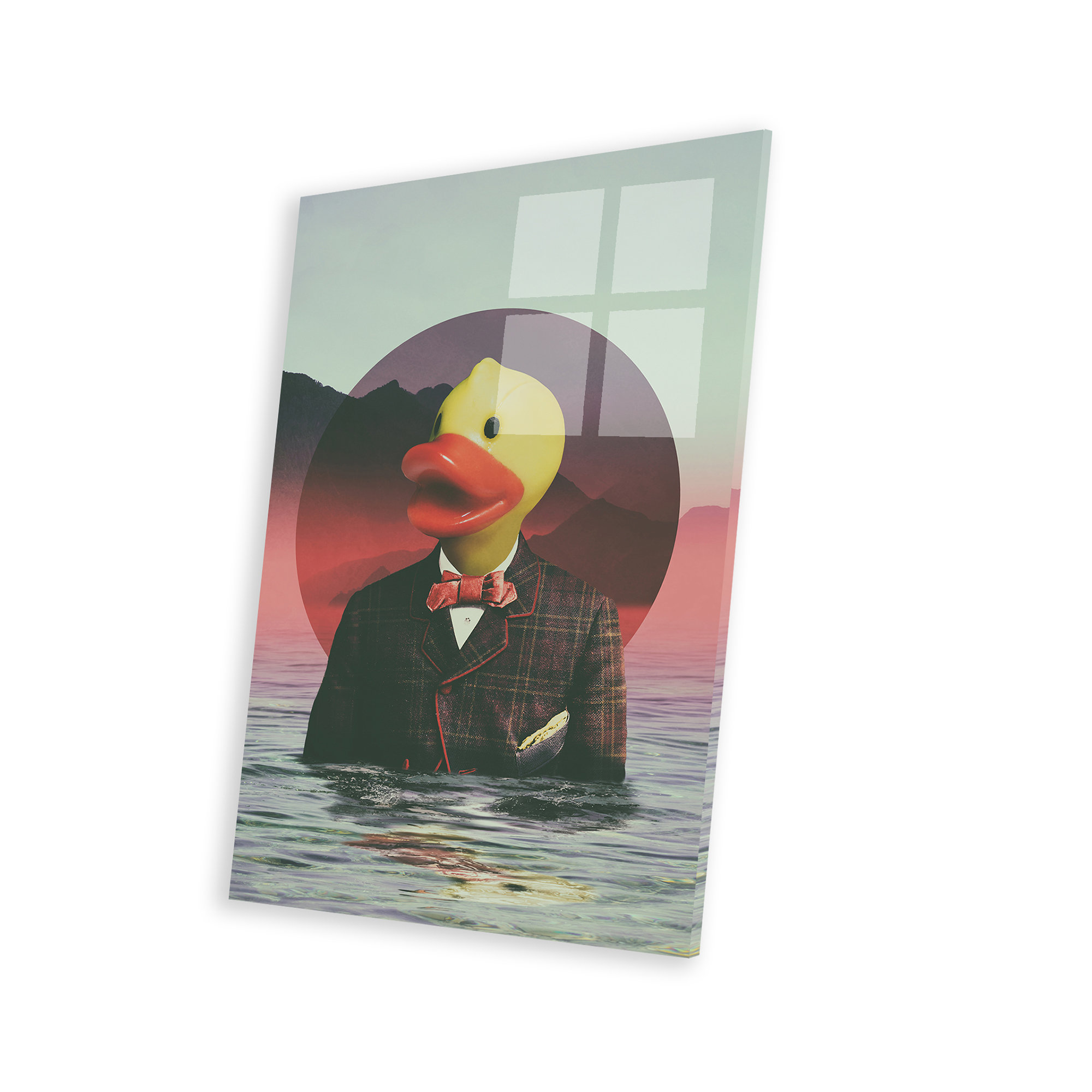 Trinx Rubber Ducky Print On Acrylic Glass - Wayfair Canada