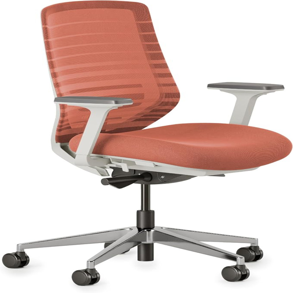 BUILTCO Branch Ergonomic Chair - A Versatile Desk Chair With Adjustable ...