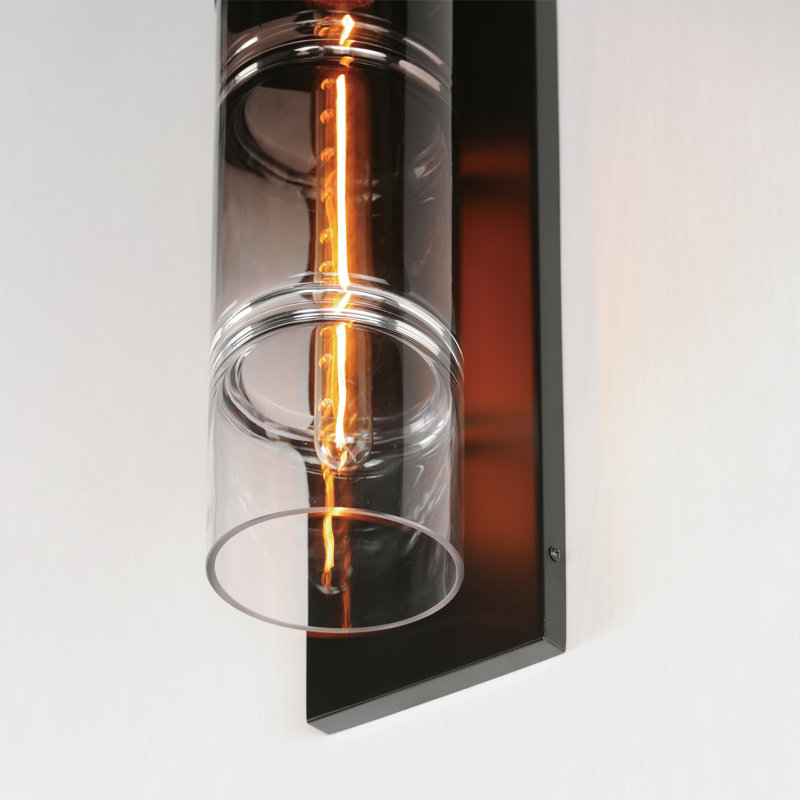 AllModern Capi Steel Wall Light | Wayfair