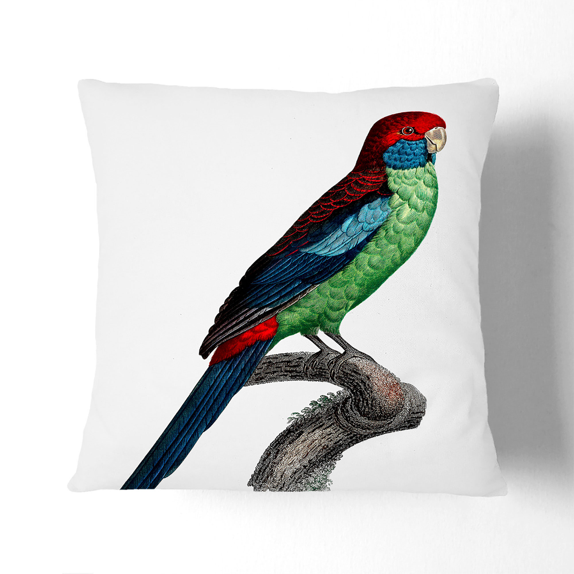 East Urban Home Broad-Tailed Parrot by F. Levaillant Cushion with ...