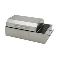 Kenyon 21'' W x 12'' D Indoor/Outdoor Use Single Burner Built-In ...