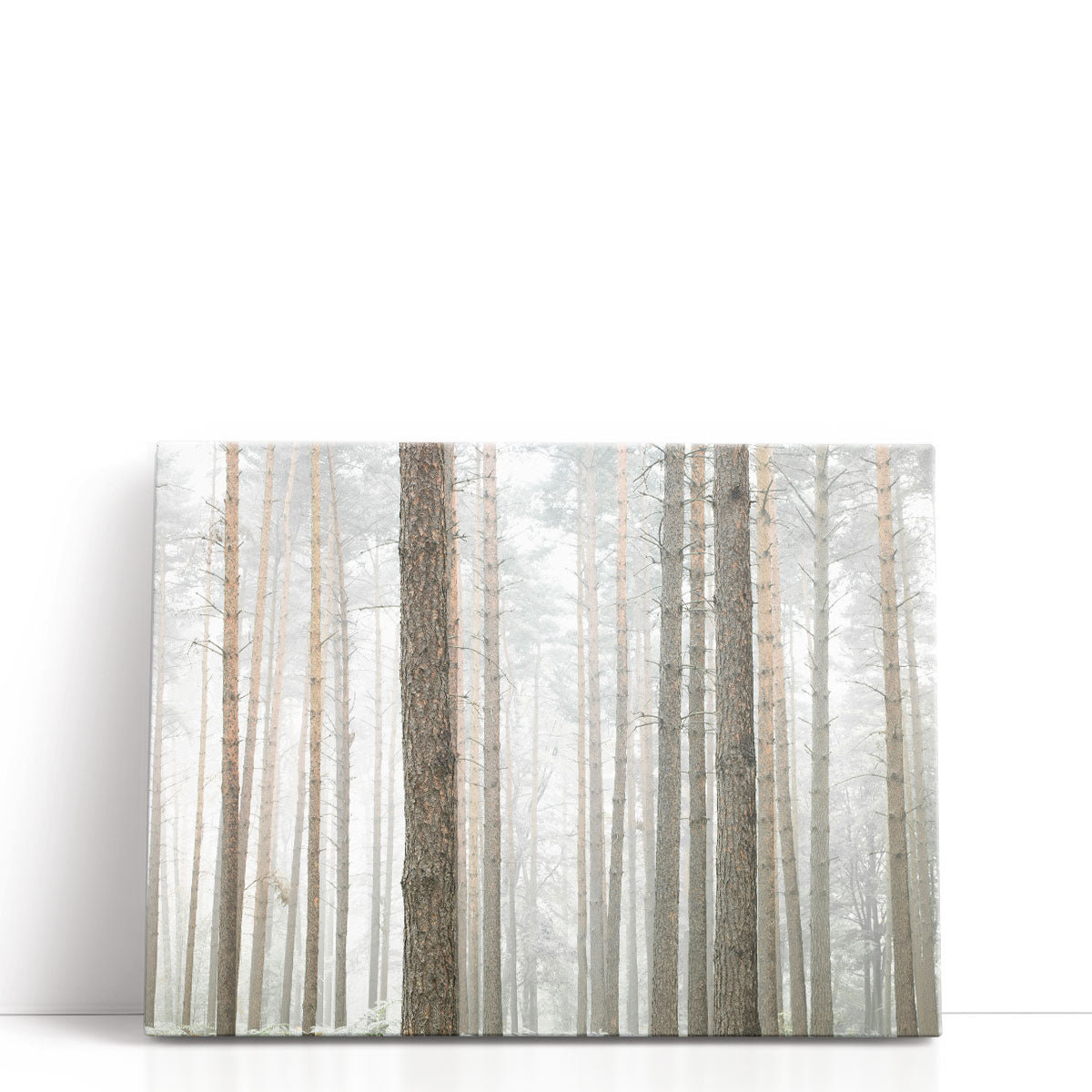 Latitude Run® Tree Trunks In Forest - Canvas Print Wall Art | Wayfair