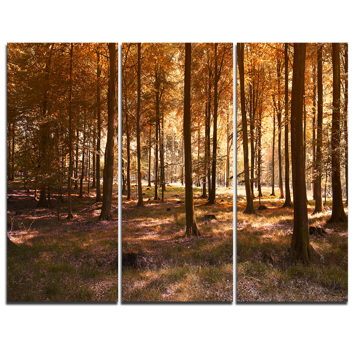 Wayfair.com - Online Home Store for Furniture, Decor, Outdoors & More