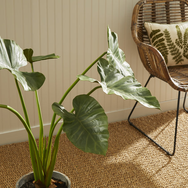 Napa Home and Garden 42" Artificial Elephant Ear Plant in Pot | Perigold