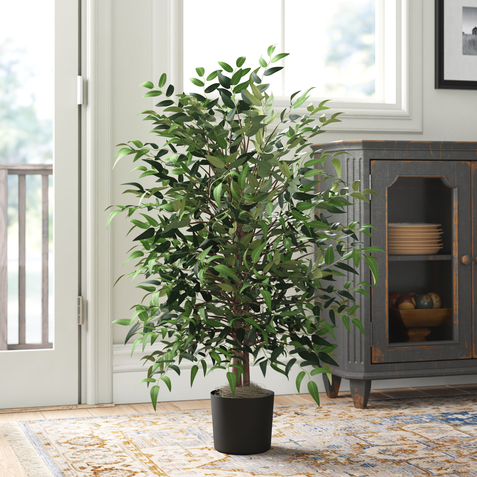 Three Posts™ 42" Smilax Ficus Tree in Planter & Reviews | Wayfair