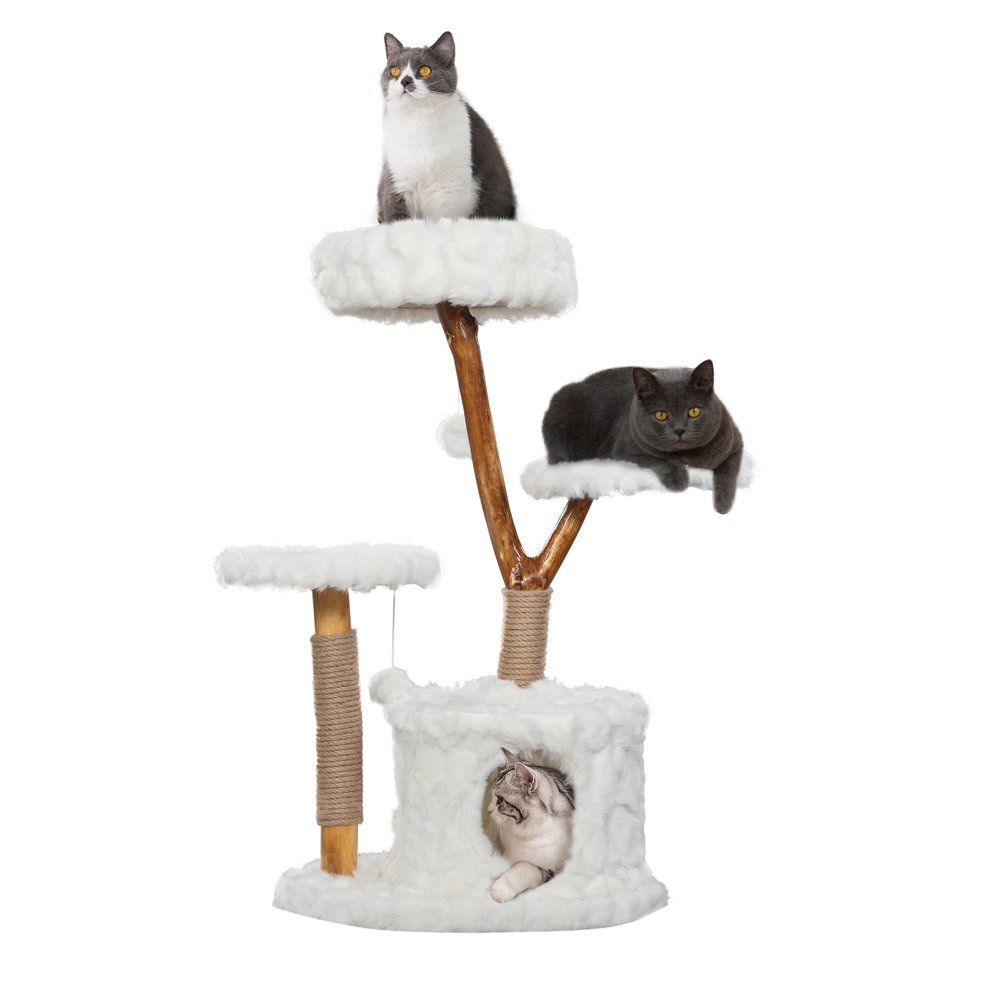 Hokku Designs Real Branch Cat Tree With Condo And Climbing Perches ...