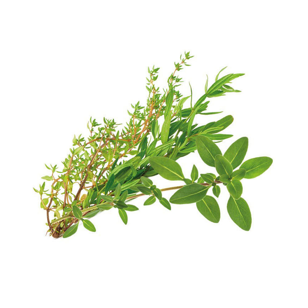 Aspara Capsule Seed Growing Kit | Wayfair