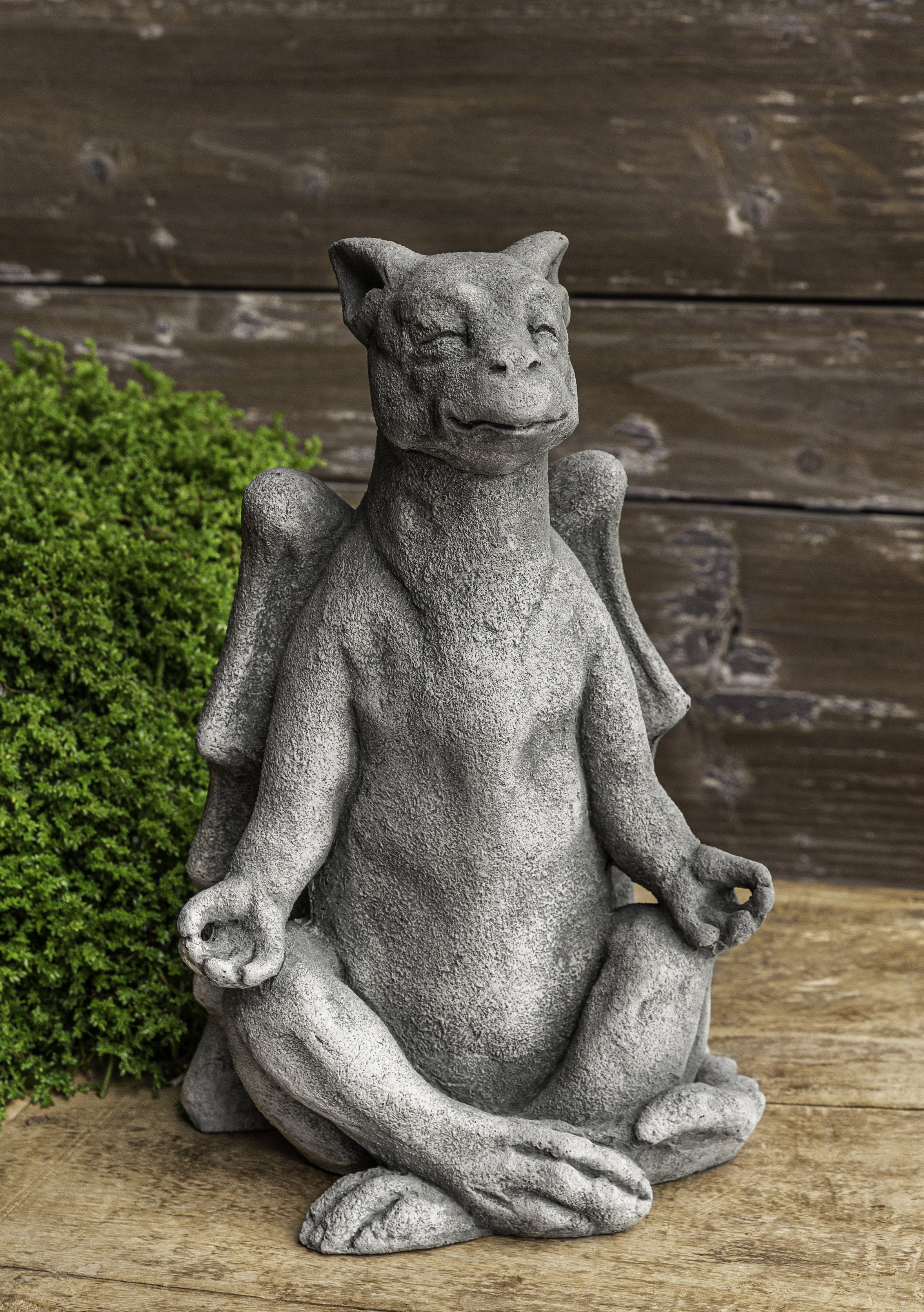 Campania International Zen Dragon & Reviews - Wayfair Canada