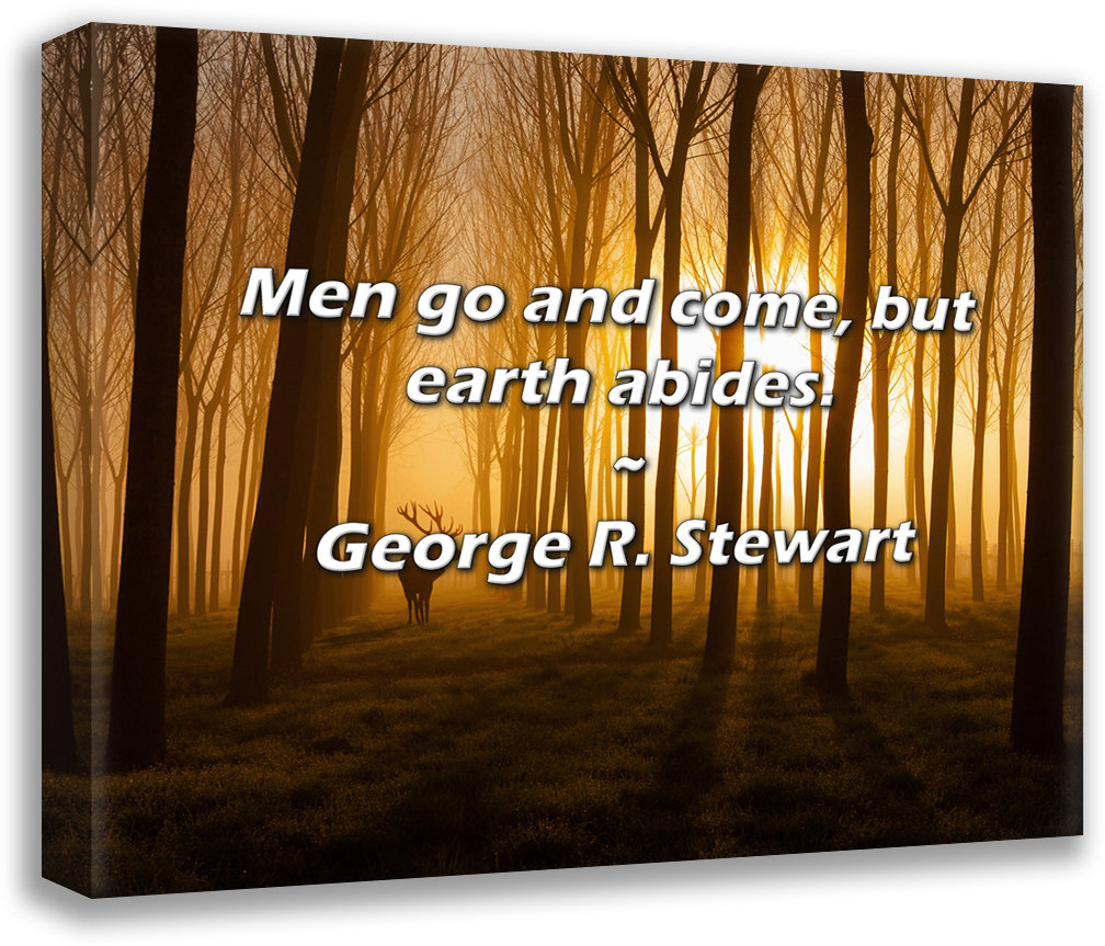 Trinx George R. Stewart Quote: Men go and come, but earth abides. | Wayfair