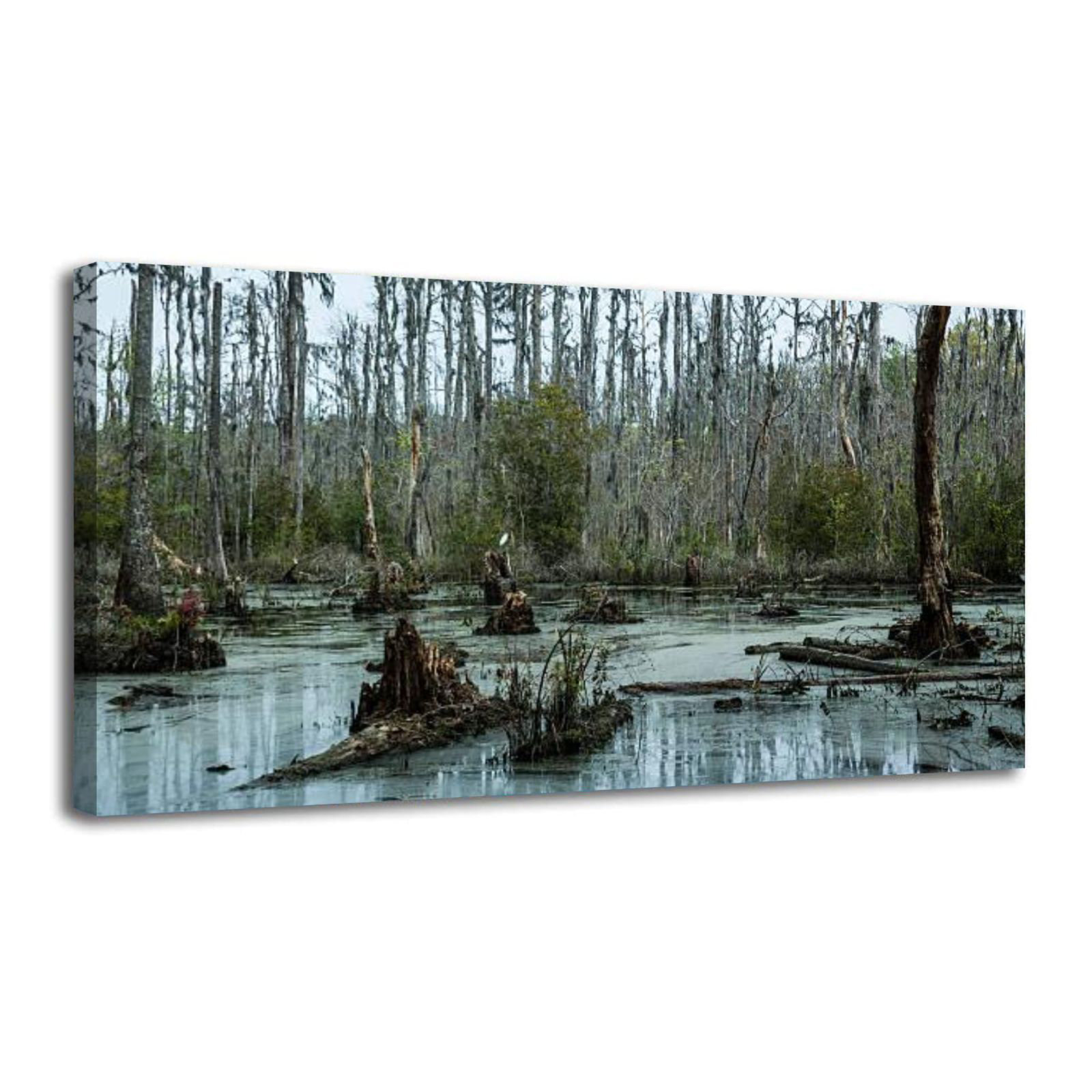 Union Rustic Canvas Wall Art swamp south cypress tree swamp pictures ...