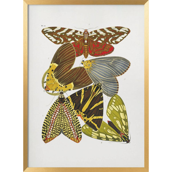 Luxury Framed Wall Art | Perigold