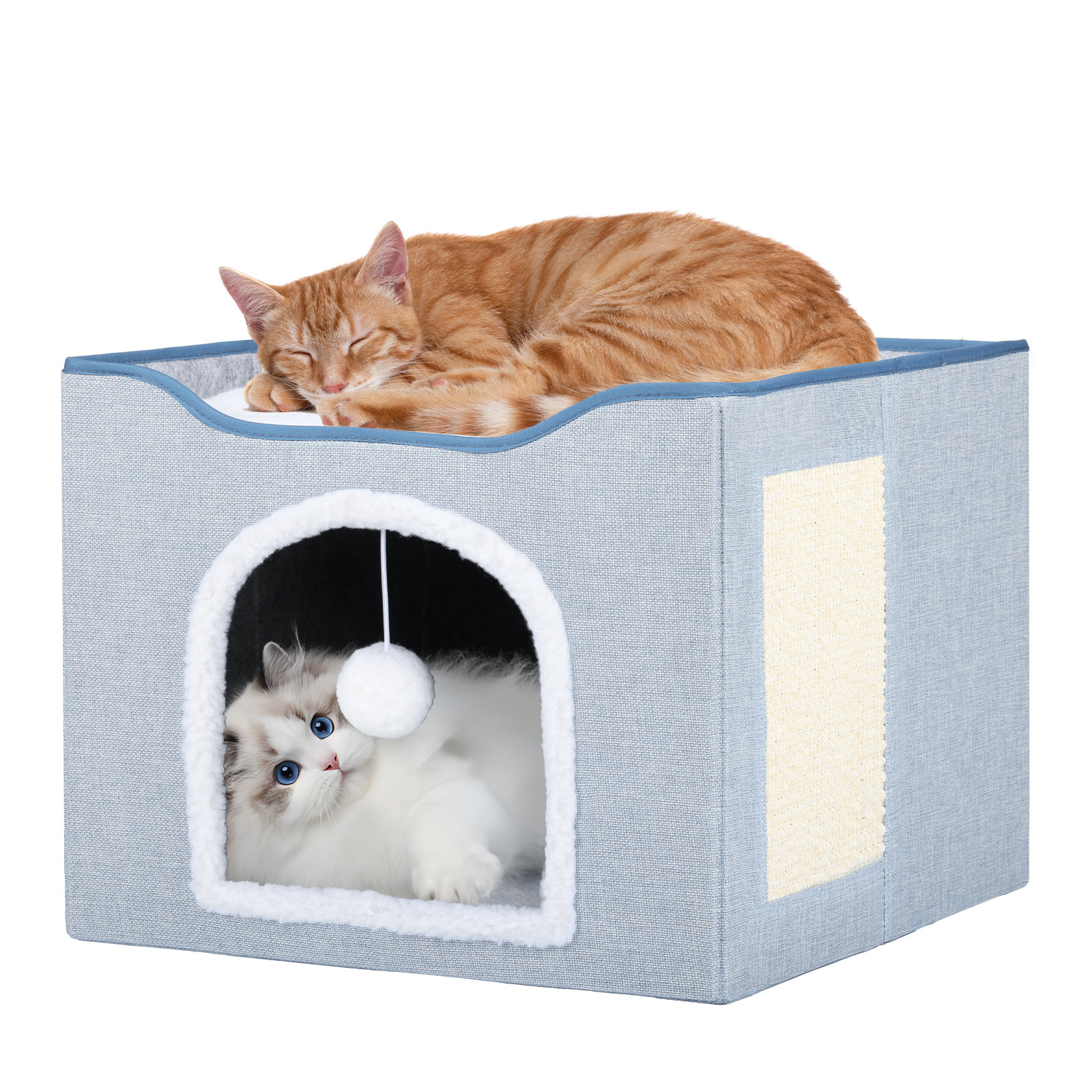 Tucker Murphy Pet™ PureWags Cat Cube House With Cushions And Hanging ...