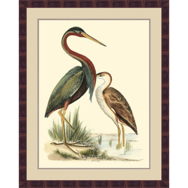 GlobalDesigns Water Birds III Framed On Paper Graphic Art | Wayfair