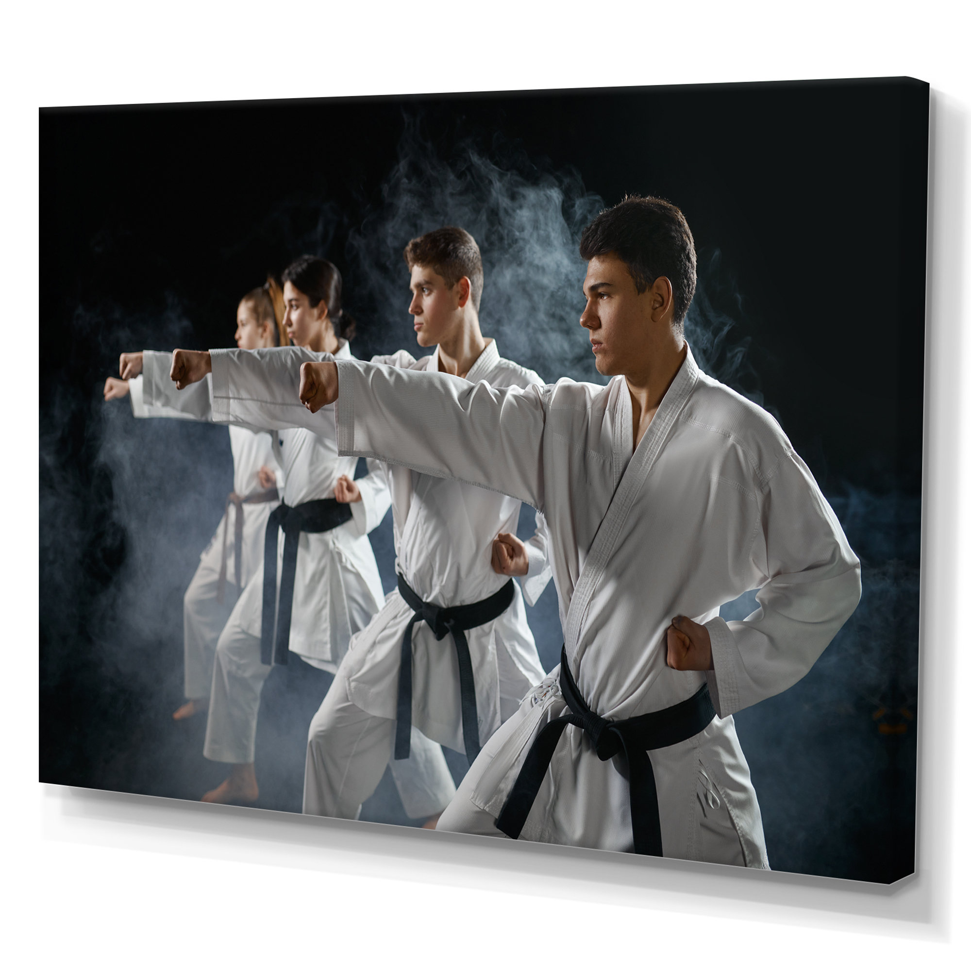 Ebern Designs Martial Arts Fight Training Studio I - Martial Arts Wall ...