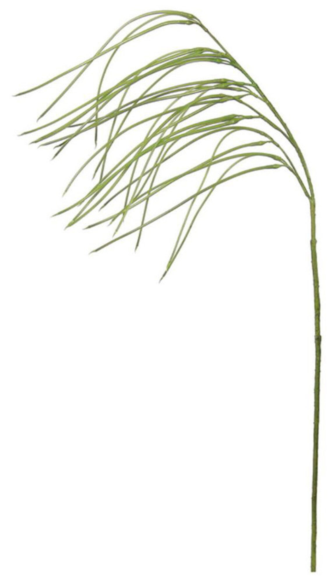 Primrue Pencil Grass Spray | Wayfair