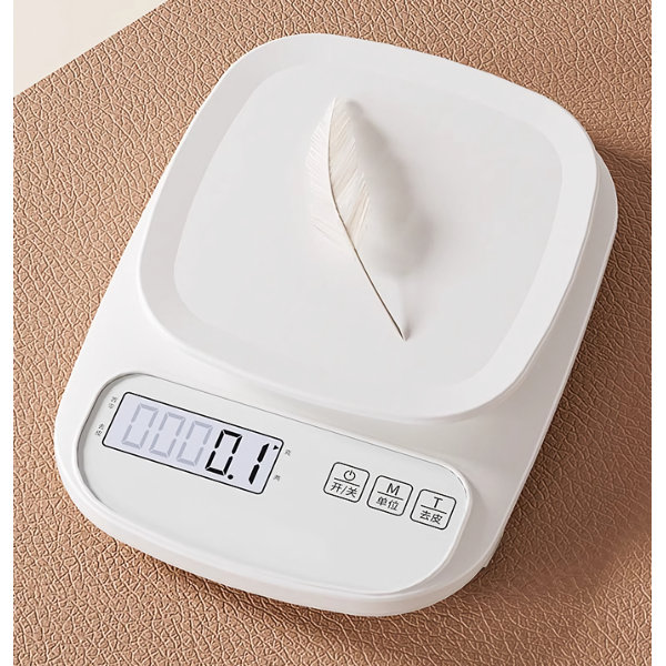 LIYONG Digital Scale | Wayfair